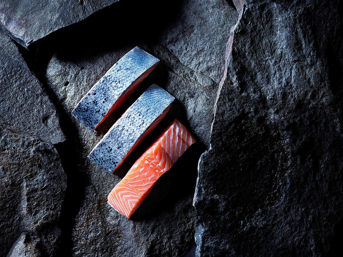 Aufgezogen im wohl saubersten Wasser der Welt auf den Faröer Inseln ...